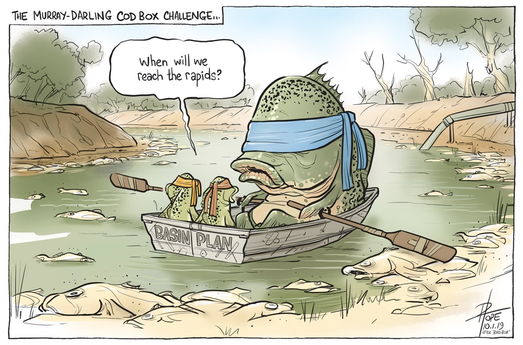 The Murray-Darling cod box challenge : r/australia