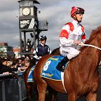 Melbourne Cup 2024 winner: Robbie Dolan, jockey Knight's Choice, singer ...