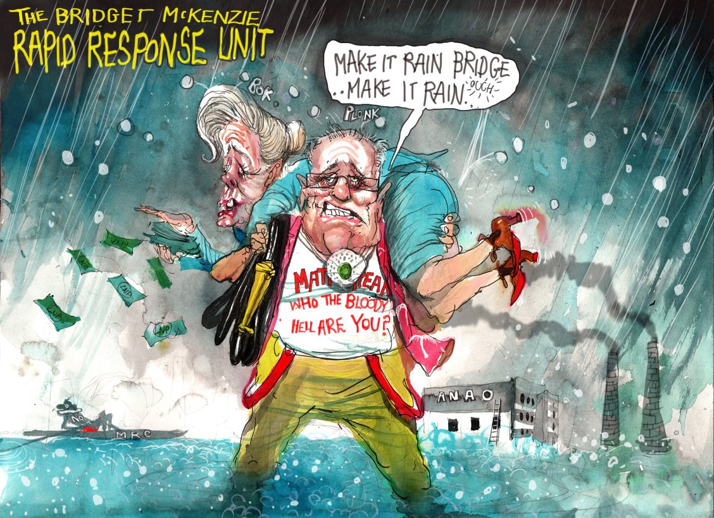 David Rowe cartoons