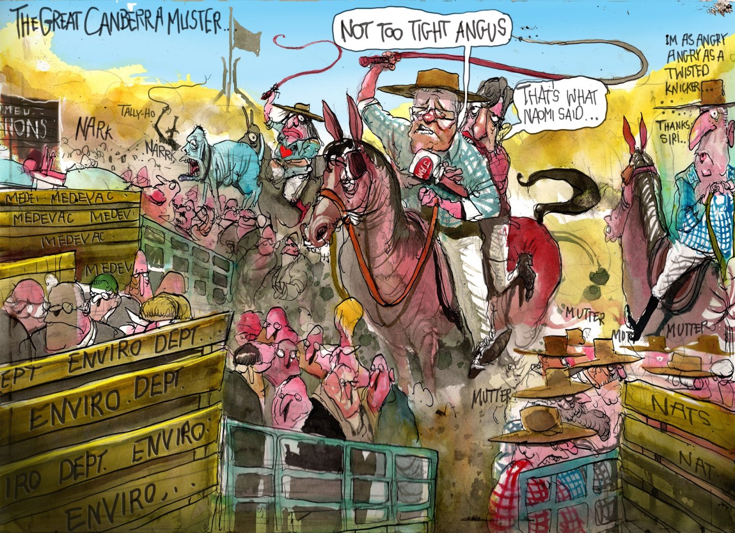 David Rowe cartoons