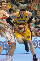 Scott takes Tigers to victory