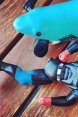 Shark attack survivor Mike Coots takes stunning surfing pictures
