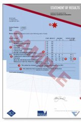 Reading your statement of results