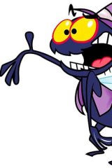 Newsmaker: Louie the Fly