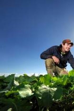 Farmers' answers blowin' in the wind