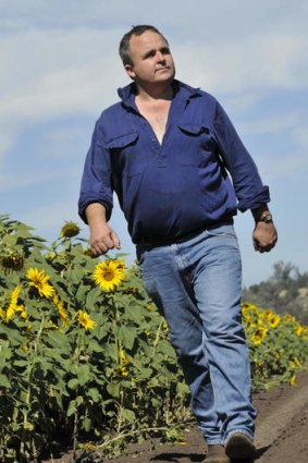 Regulator runs check on Friends' operations