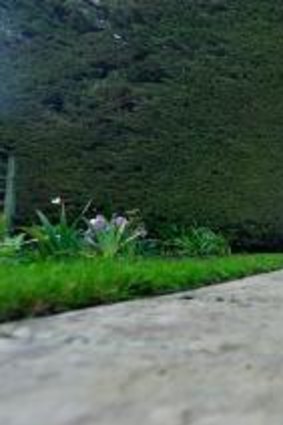 My Secret Melbourne: Greg Hocking on saving the city's old theatres