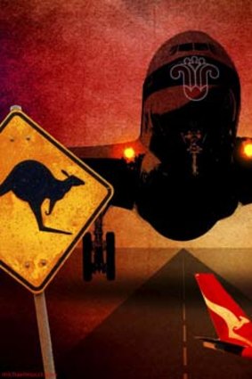 Flying 'roo in danger of becoming roadkill