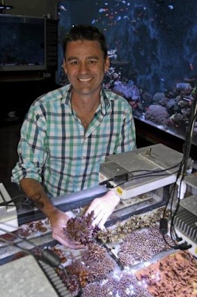 Townville's national sea simulator is the smartest aquarium in the world