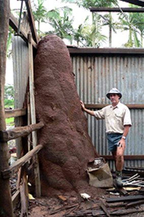 Termite tower a model of high-density living