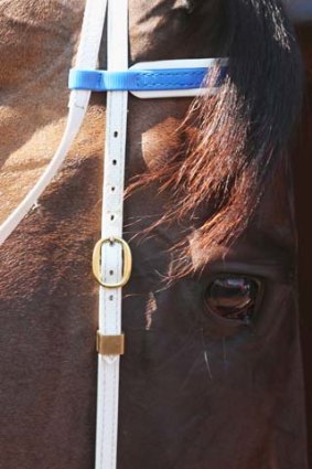 Valley gears up for Caviar's state farewell