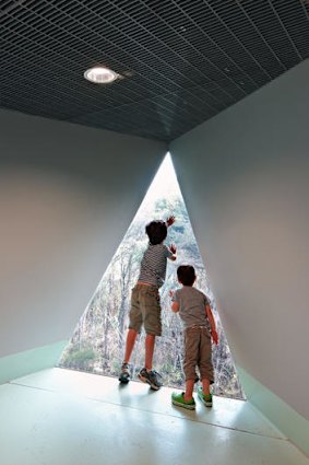 Inspired by the hides of marsh