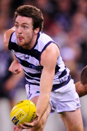 Cat in police assault probe