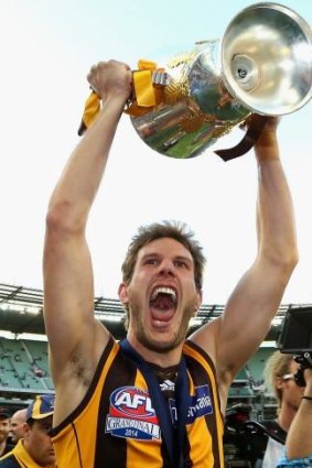 AFL grand final 2014: Grant Birchall's wee drama the only Hawthorn hiccup