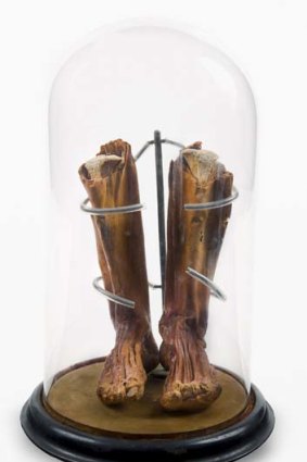 Curiosities that thrive only in their setting