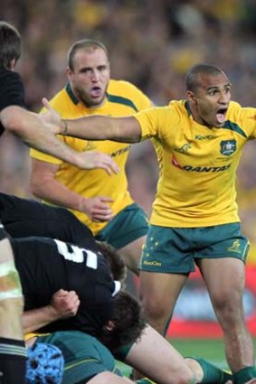 Halfbacks, hookers and whistleblowers struggle with revised scrum laws