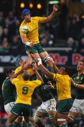 Warrior Sharpe wary of Wales as Wallabies get ready for war