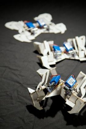 Self-folding flat-pack robots walk into our future