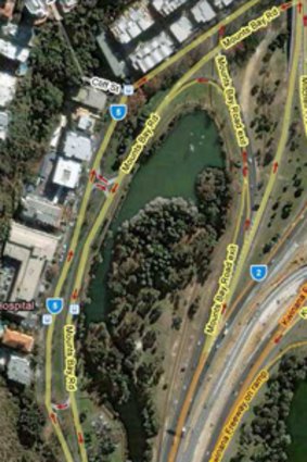 Bus lanes threaten trees, Riverside roundabout