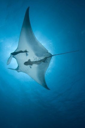 Exploring Queensland's lesser known islands