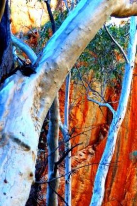 In First Contact, Ray Martin explores his Aboriginal ancestry and ...