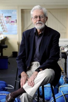 Australian Museum left with a skeleton staff as tyrannosaurus ...