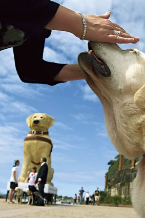 Giant guide dog hopes to open some eyes