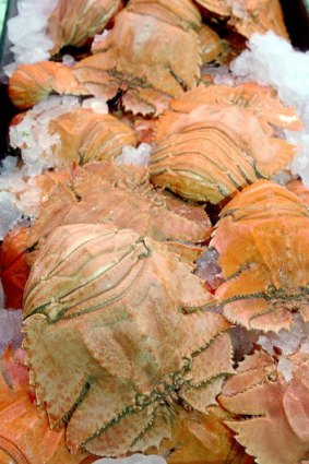 Five things to do with bug meat