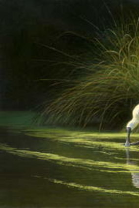 Discovery channels art with science