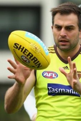 Hawthorn's Brian Lake, Ben Stratton fit to play