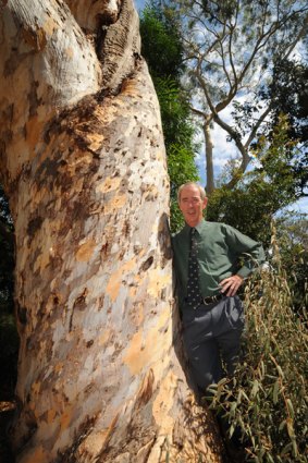 Doctor's plea for trees