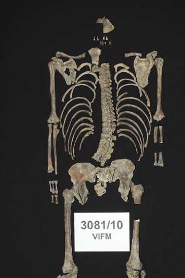 No bones about it, remains really are Ned Kelly's