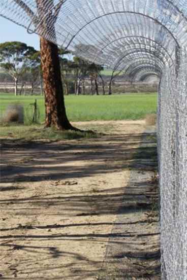 Predator proof fence to save Wheatbelt wallabies