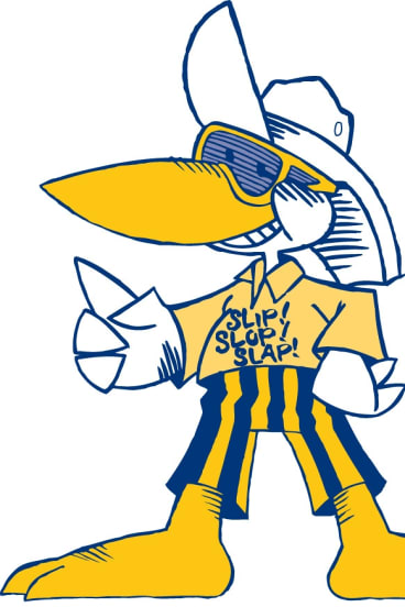 Alexander Stitt, creator of Sid the seagull in Slip! Slop! Slap! campaign