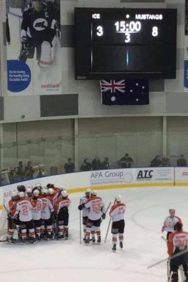 Australian Ice Hockey League: Melbourne Mustangs come of age