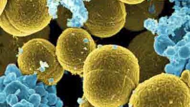 Infection rates lowest in Brisbane hospitals