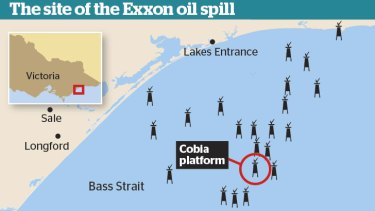 Exxon confirms oil spill in Bass Strait