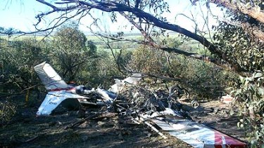 Runway tree stump caused plane crash death