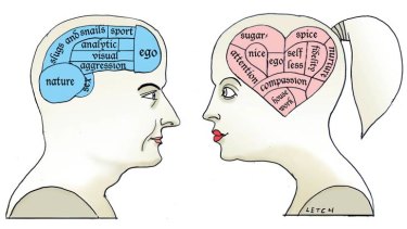 The male v female brain: is it all in the mind?