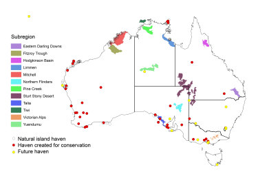 Wildlife havens save 13 Australian mammal species from extinction