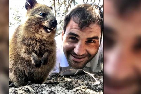 Quokkas to get more protection after Instagram 'cruelty' slam