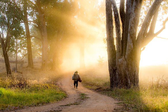 Gallery: Photos of the year 2018