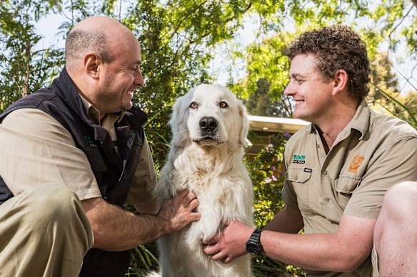 Protector Pooch a Wild Idea at Werribee Zoo