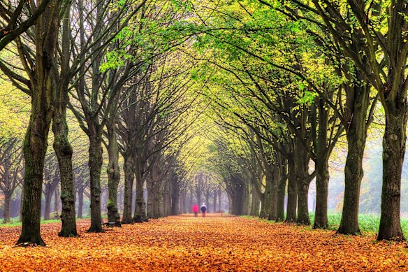 Six of the best parks in Amsterdam