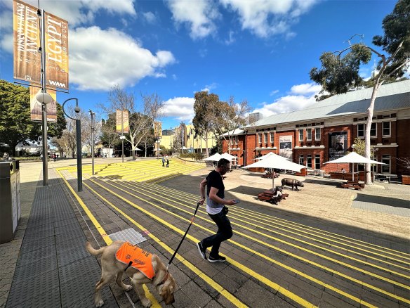More trees, less crime: The Perth Cultural Centre finally gets a plan