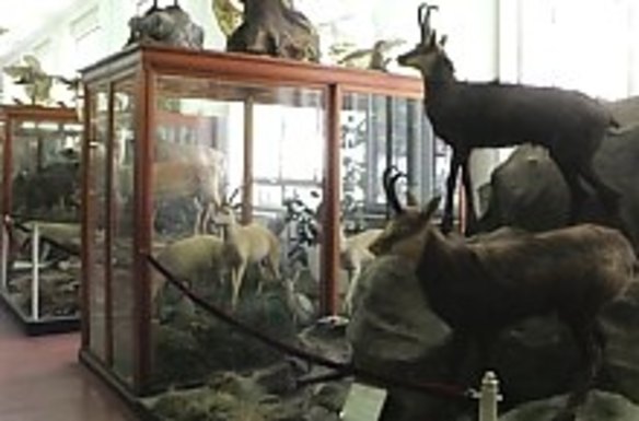 Nine of the world's worst museums