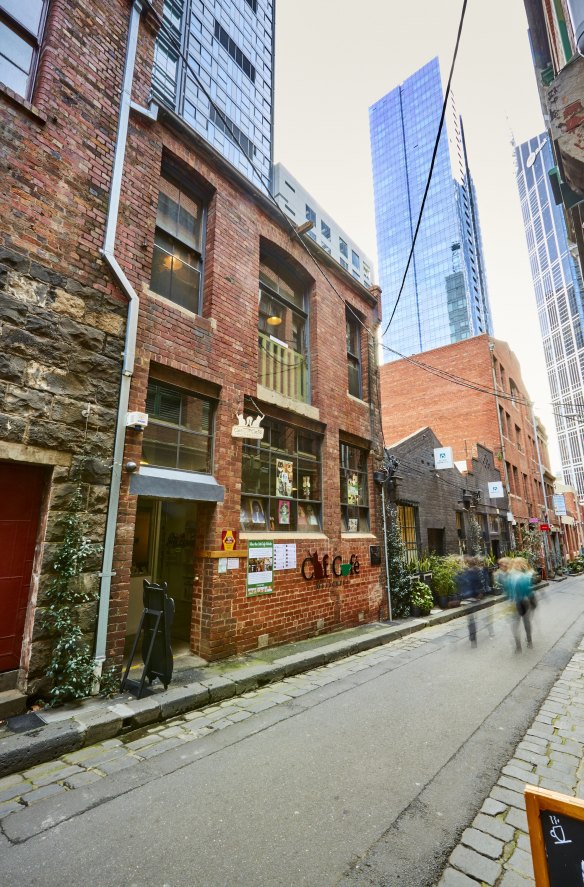 Cat empire beckons in laneway labyrinth