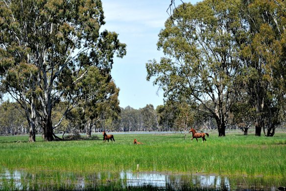 Ten underrated Australian national parks