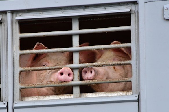 Gallery: The best photos from around the world