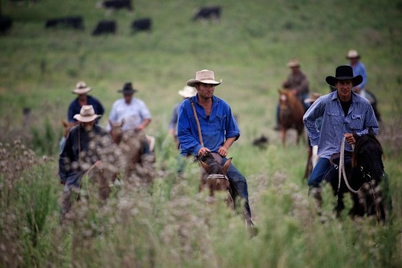 High Mountain Stockmen
